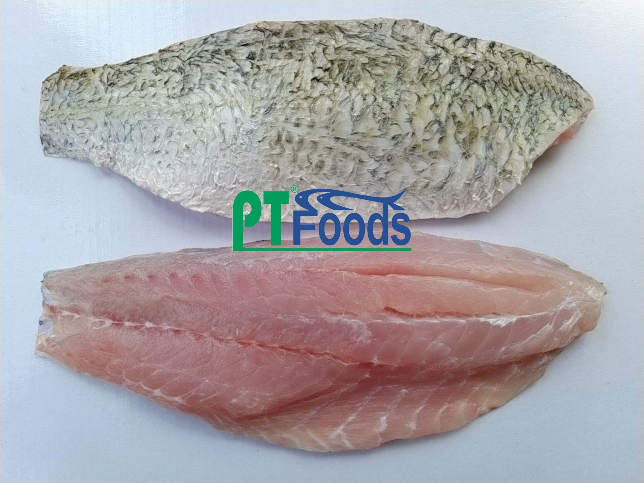 Barramundi Fillet – Hung Phuc Thinh Food Joint Stock Company (PTFOOD)